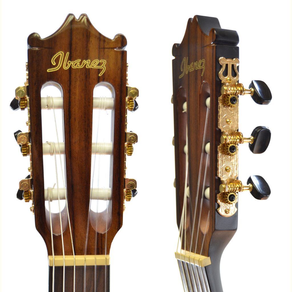 Ibanez GA35TCE Nylon Thin Cutaway Nylon String Acoustic Guitar - Dark ...