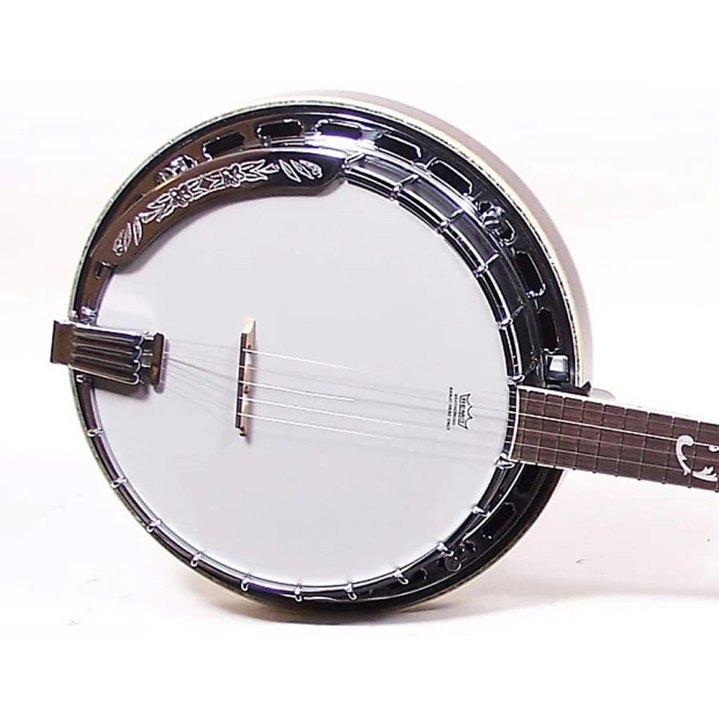 Ibanez B300 5-String Banjo with Rosewood Resonator + Basswood Rim | The ...